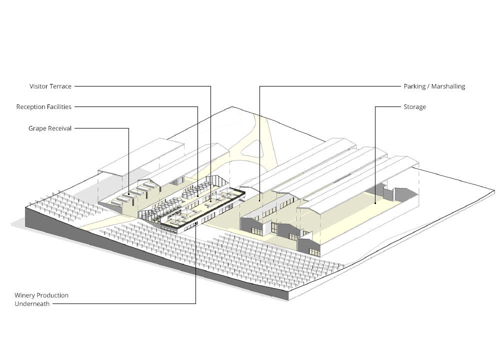 Vineyards and Wineries - Designcubed